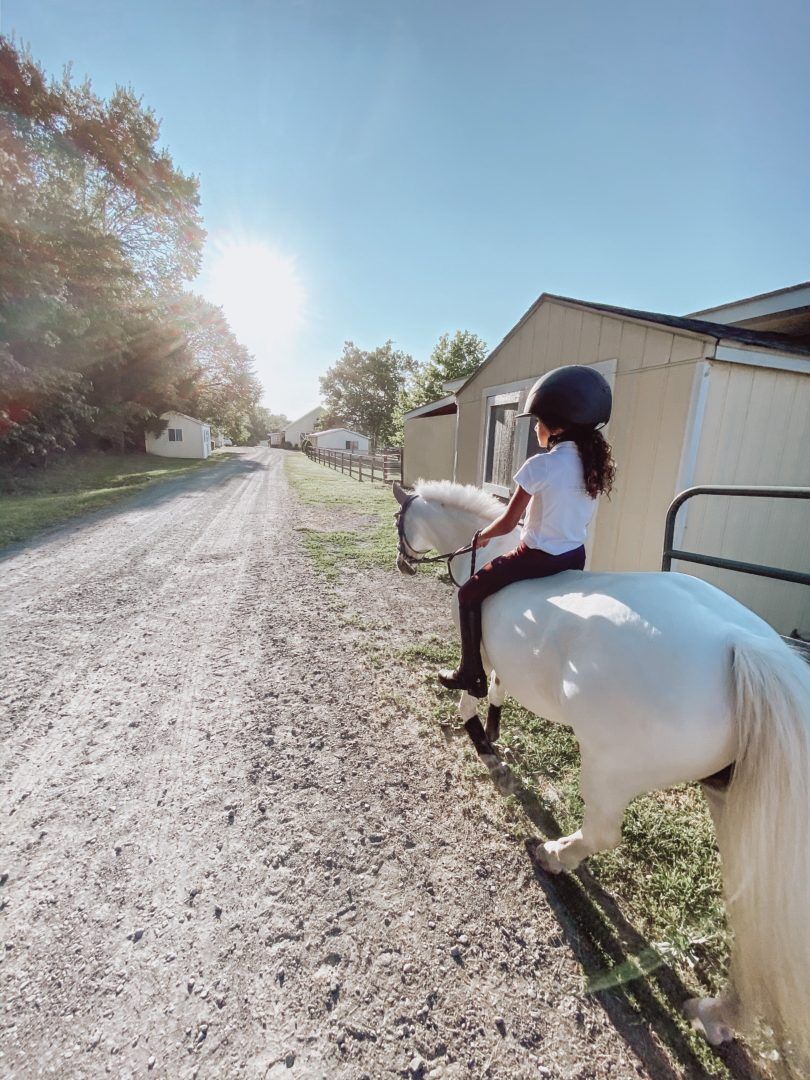 7 Best Boots for Horse Trail Riding in Harmony - Horse Rookie