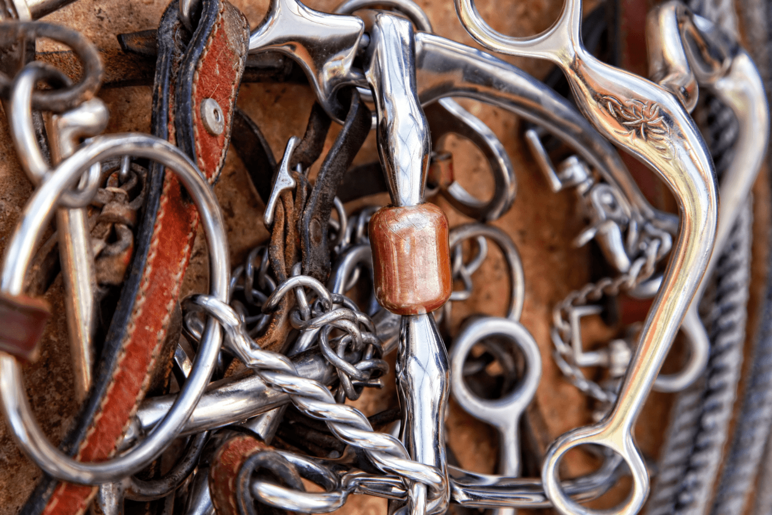 5 Best Horse Bits for Control Without Cruelty - Horse Rookie