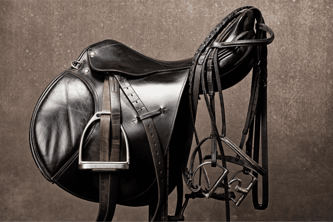 5 Best English Saddle Brands on the Market - Horse Rookie