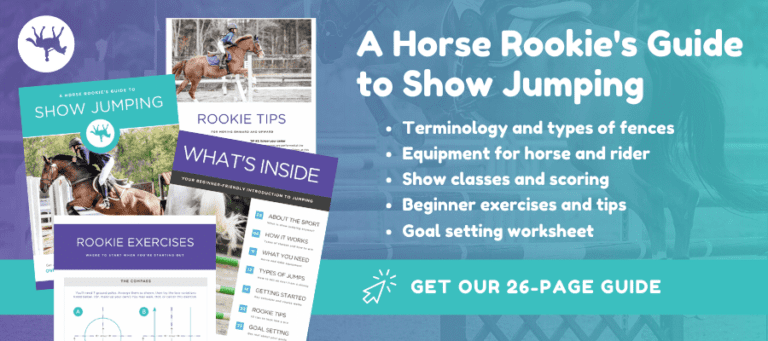 25 Tips to Take Your Show Jumping from Average to Awesome - Horse Rookie