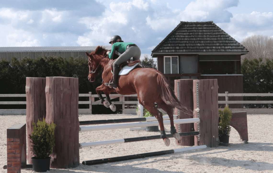 Horse Show Jumping: A Complete Beginners Guide - Horse Rookie
