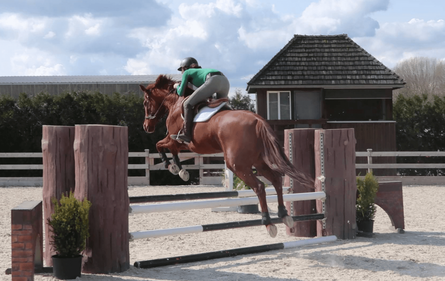 Horse Show Jumping: A Complete Beginners Guide - Horse Rookie