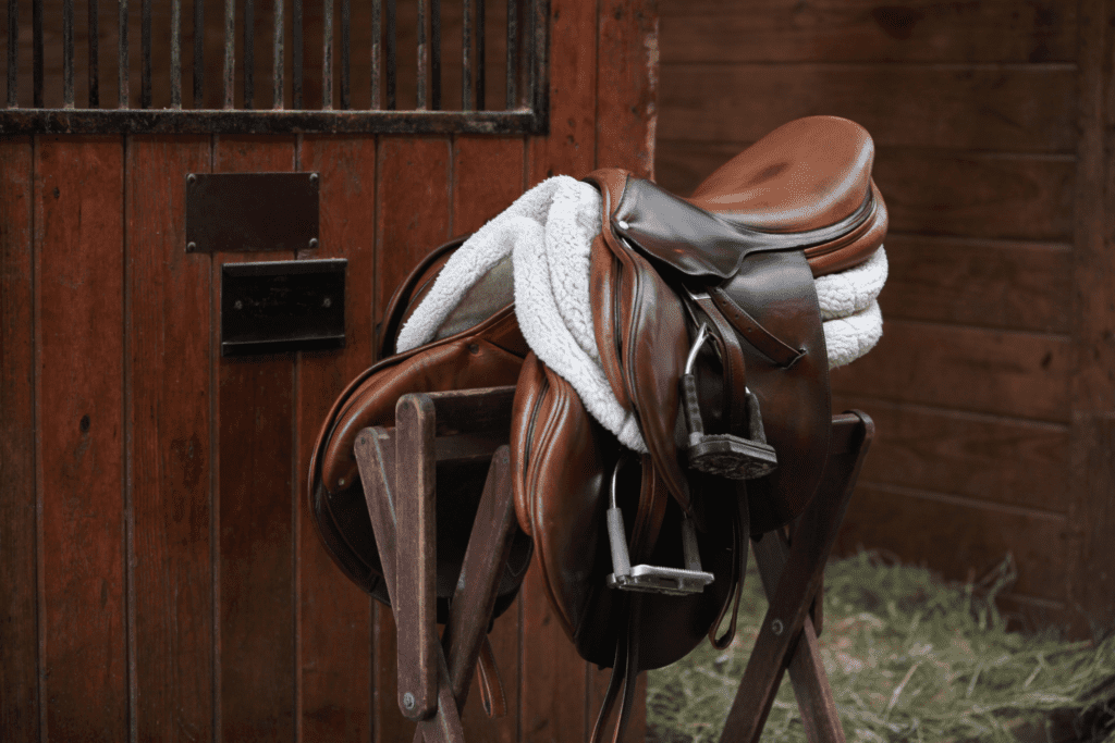 5 Best English Saddle Brands on the Market - Horse Rookie