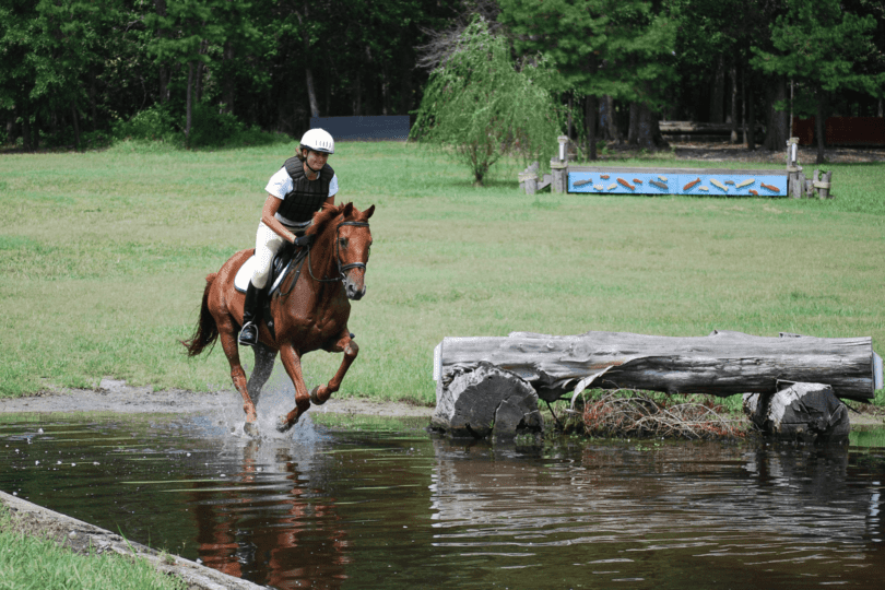 Horse Show Jumping: A Complete Beginners Guide - Horse Rookie