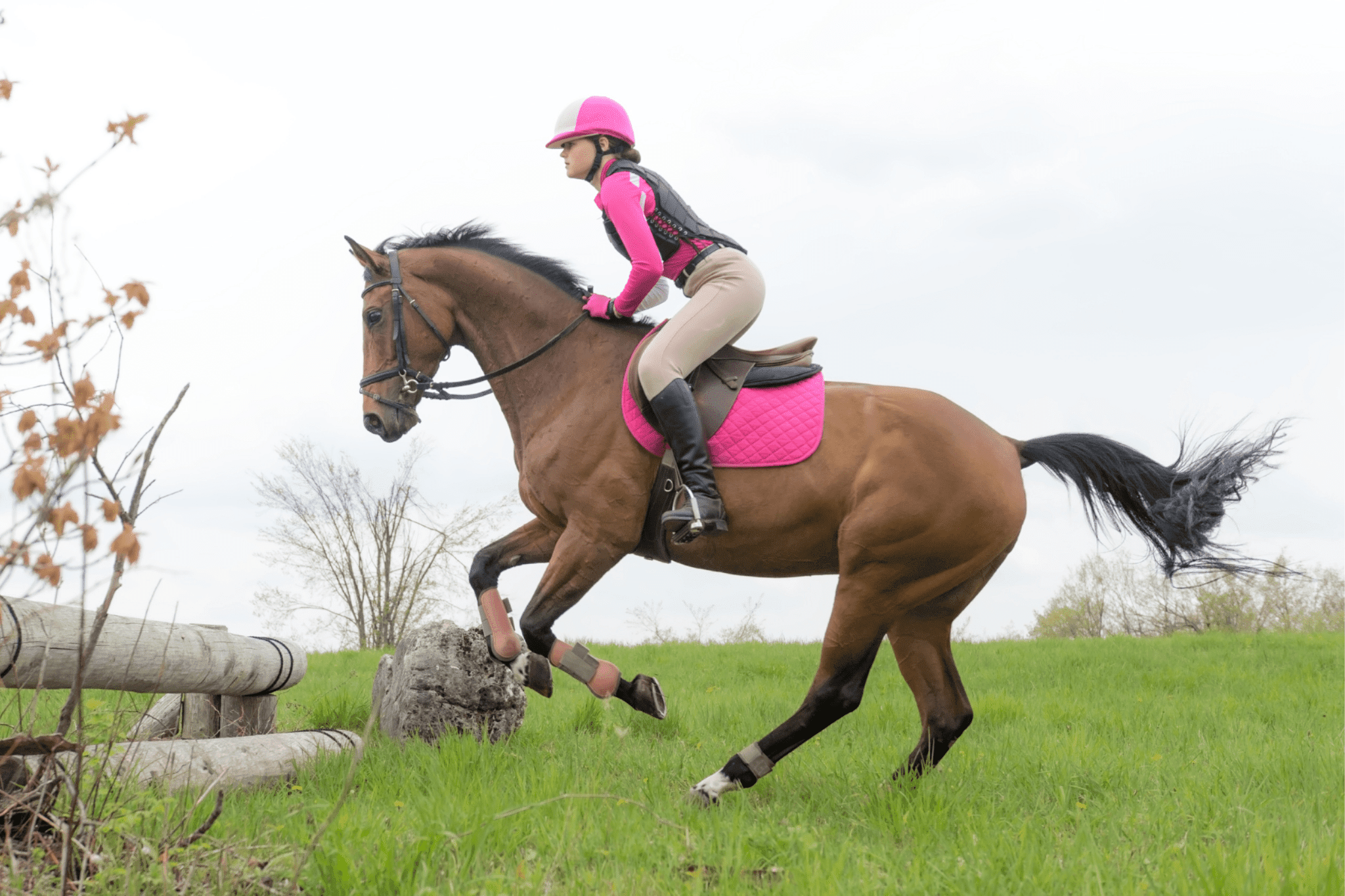Rookie Rundown: What to Wear to an English Horse Show - Horse Rookie