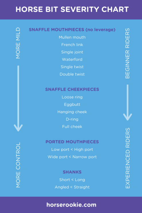 Bit by Bit: A Helpful Illustrated Horse Bit Guide - Horse Rookie