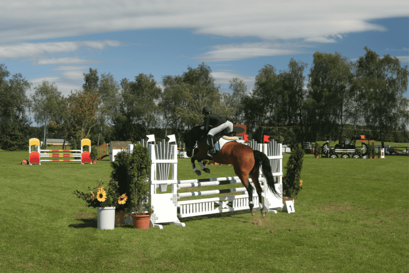 Horse Show Jumping: A Complete Beginners Guide - Horse Rookie