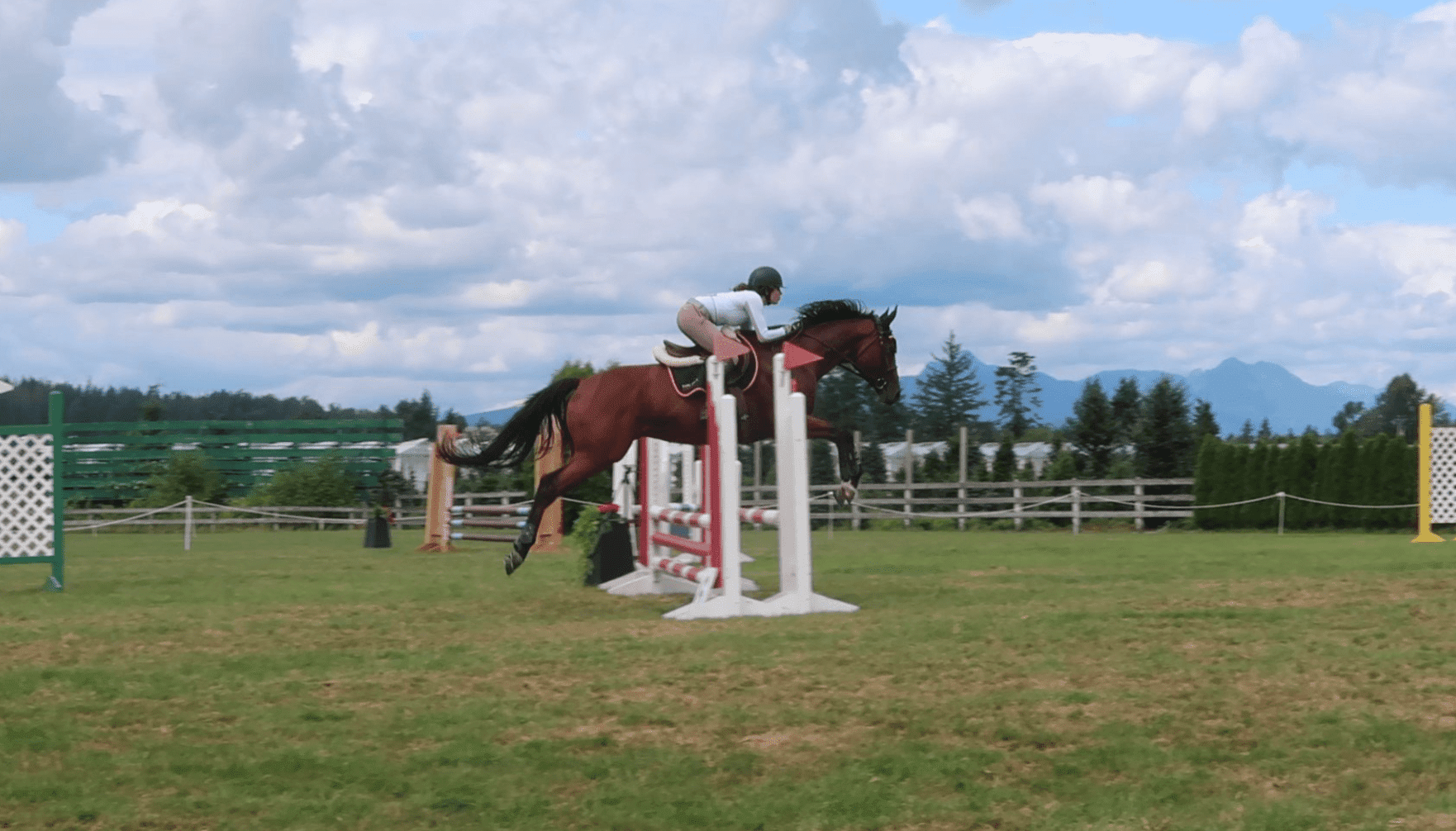 Horse Show Jumping: A Complete Beginners Guide - Horse Rookie