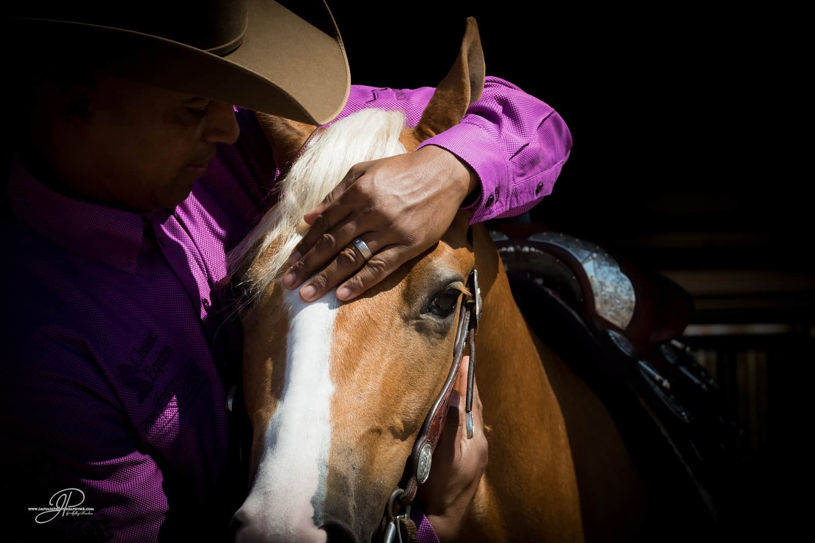 Letter to My Rookie Self: Matt Mills Reining - Horse Rookie