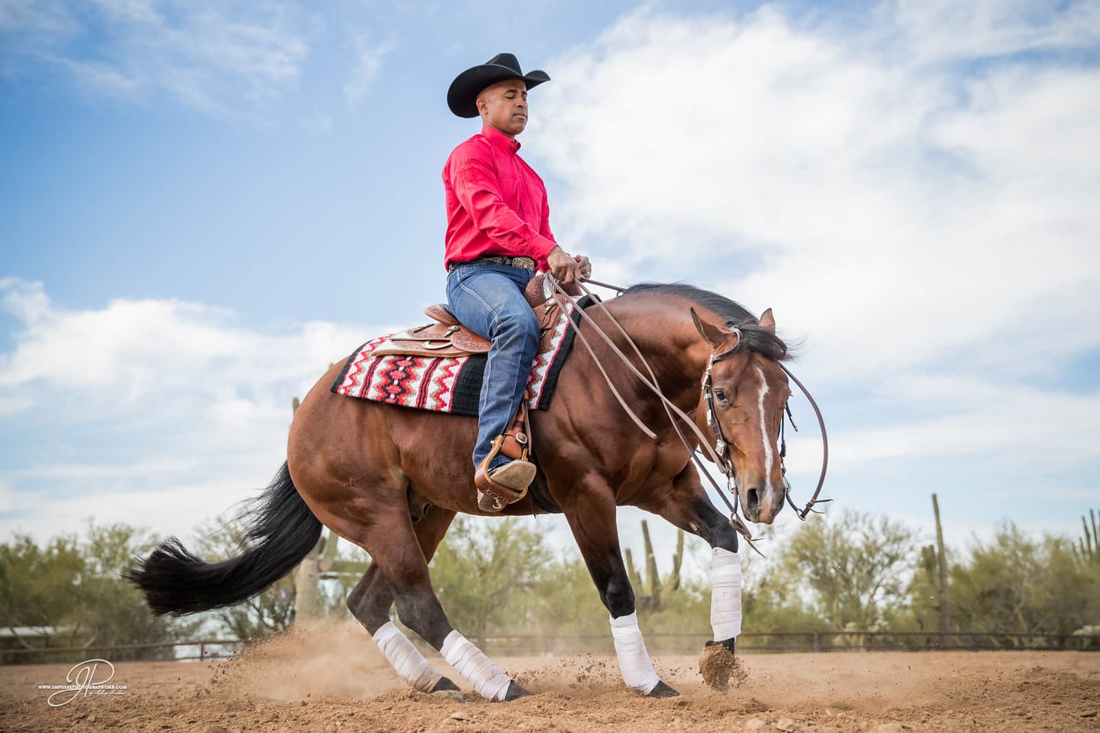 Letter to My Rookie Self: Matt Mills Reining - Horse Rookie