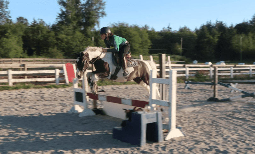 Horse Show Jumping: A Complete Beginners Guide - Horse Rookie
