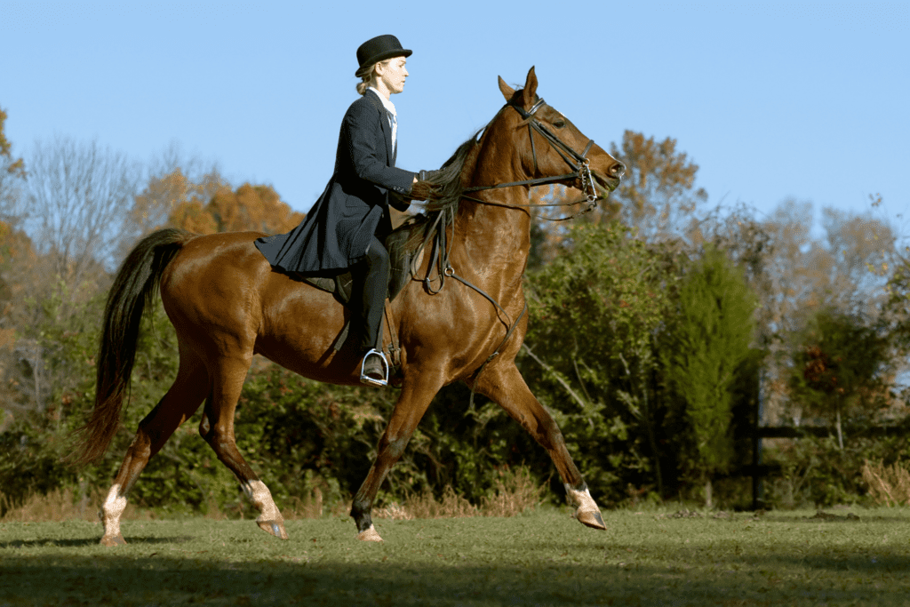 Rookie Rundown: What to Wear to an English Horse Show - Horse Rookie