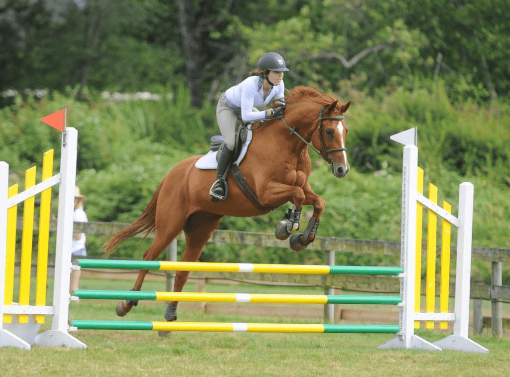 Horse Show Jumping: A Complete Beginners Guide - Horse Rookie