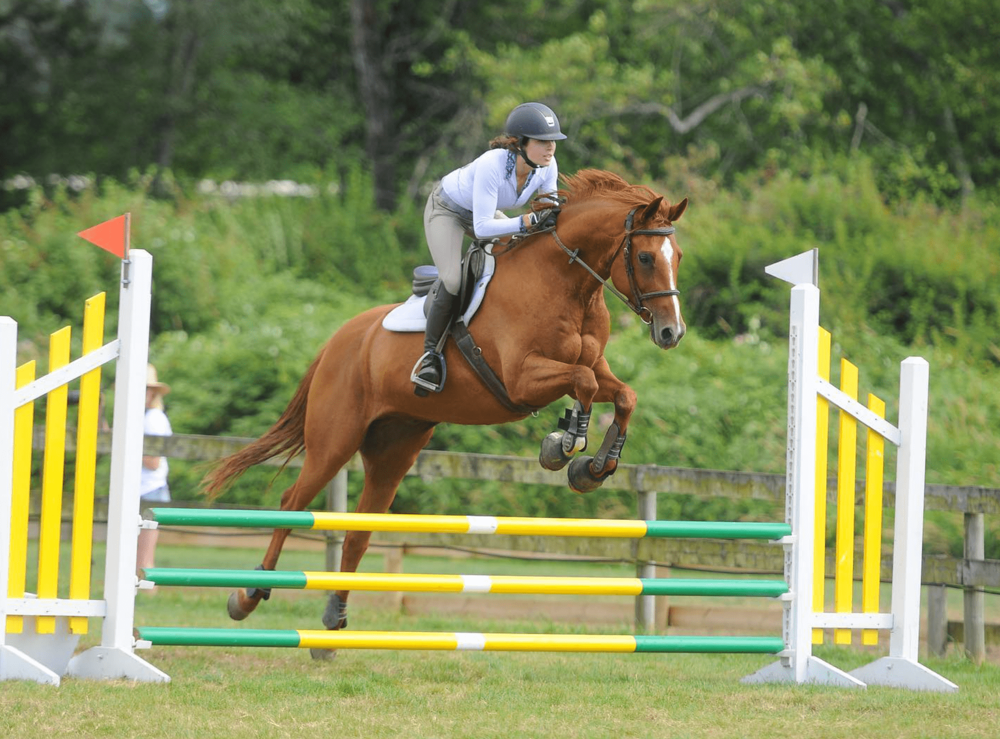 Horse Show Jumping: A Complete Beginners Guide - Horse Rookie