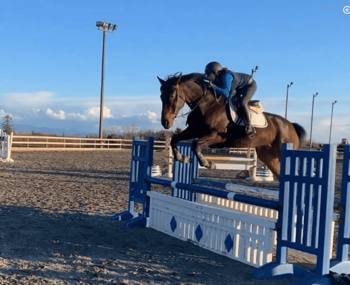 Horse Show Jumping: A Complete Beginners Guide - Horse Rookie