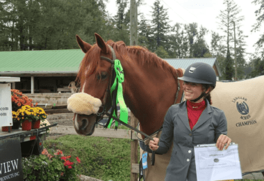 Horse Show Jumping: A Complete Beginners Guide - Horse Rookie