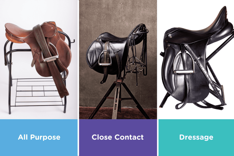 5 Best English Saddles for Beginners With Big Dreams - Horse Rookie