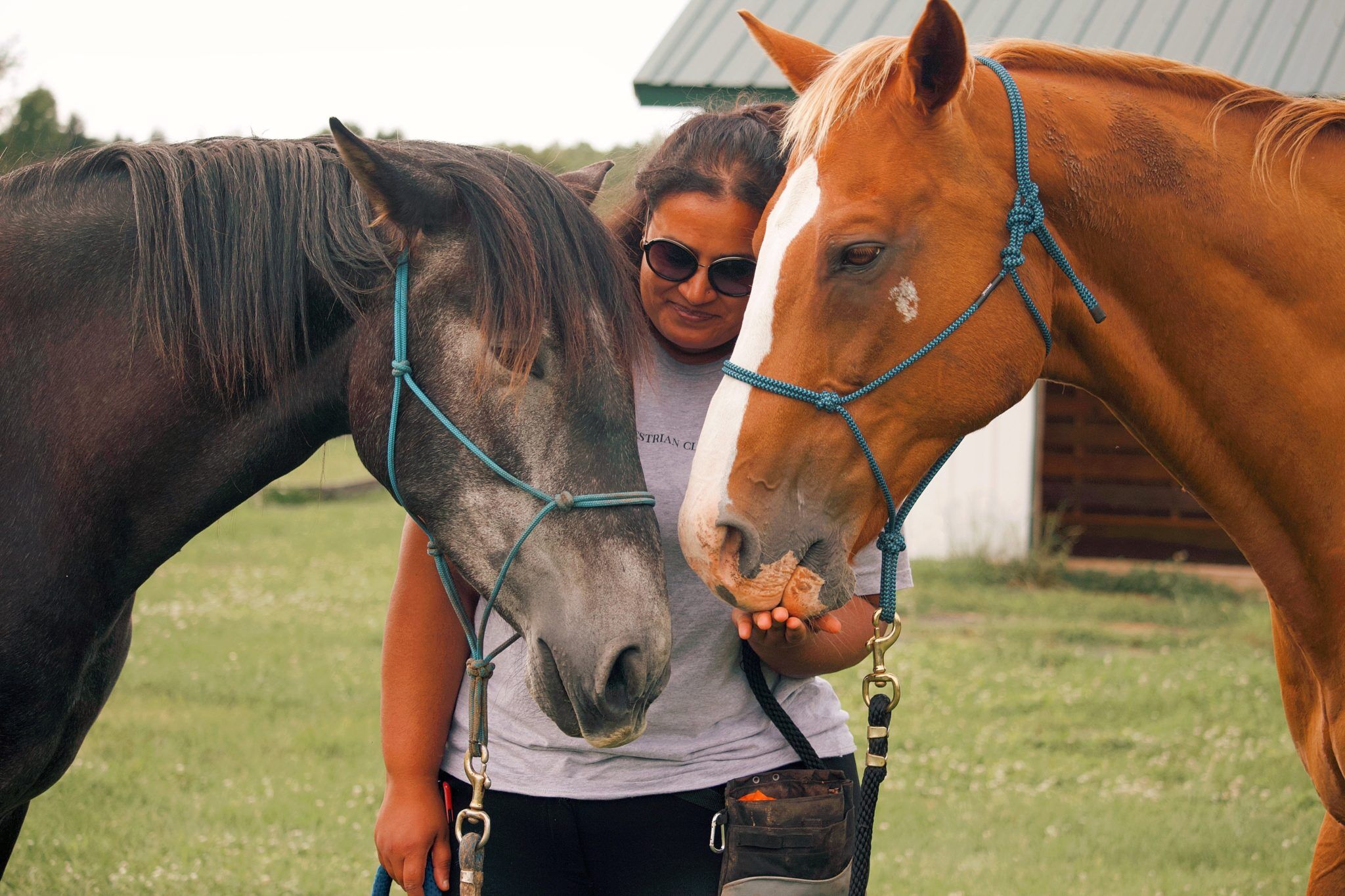 Letter to My Rookie Self: Anu Joshi - Horse Rookie