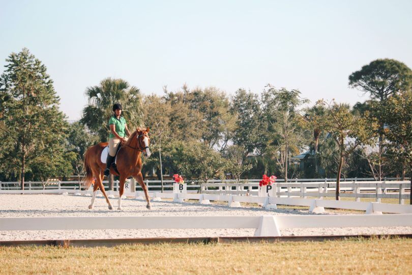 Letter to My Rookie Self: Anu Joshi - Horse Rookie