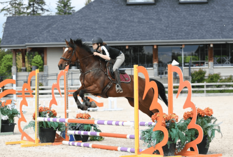 25 Tips to Take Your Show Jumping from Average to Awesome - Horse Rookie