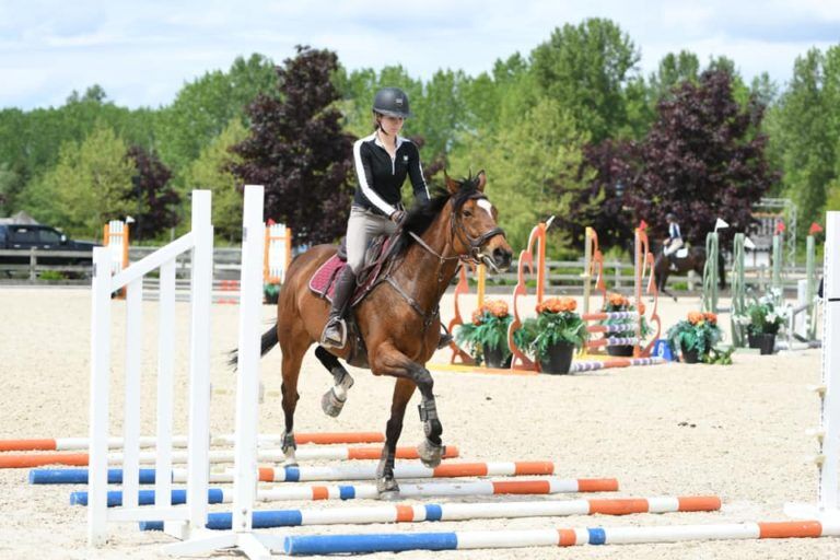 25 Tips to Take Your Show Jumping from Average to Awesome - Horse Rookie