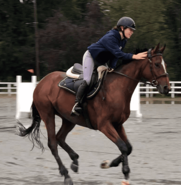 25 Tips to Take Your Show Jumping from Average to Awesome - Horse Rookie