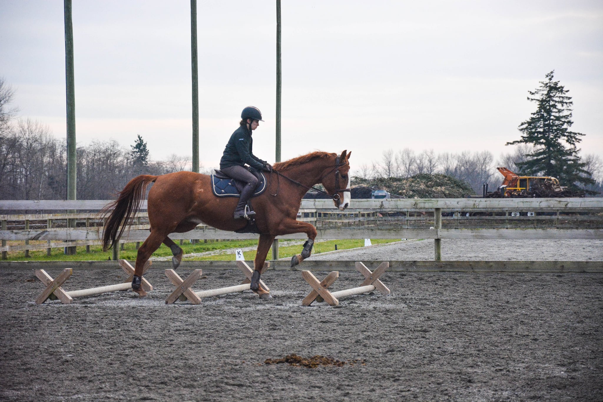 25 Tips to Take Your Show Jumping from Average to Awesome - Horse Rookie