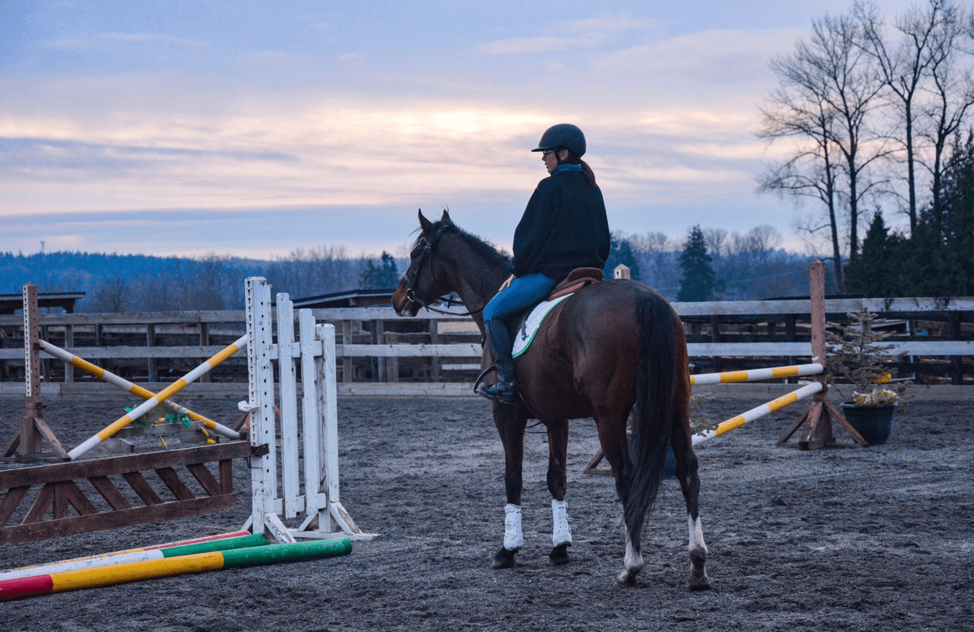 25 Tips to Take Your Show Jumping from Average to Awesome - Horse Rookie