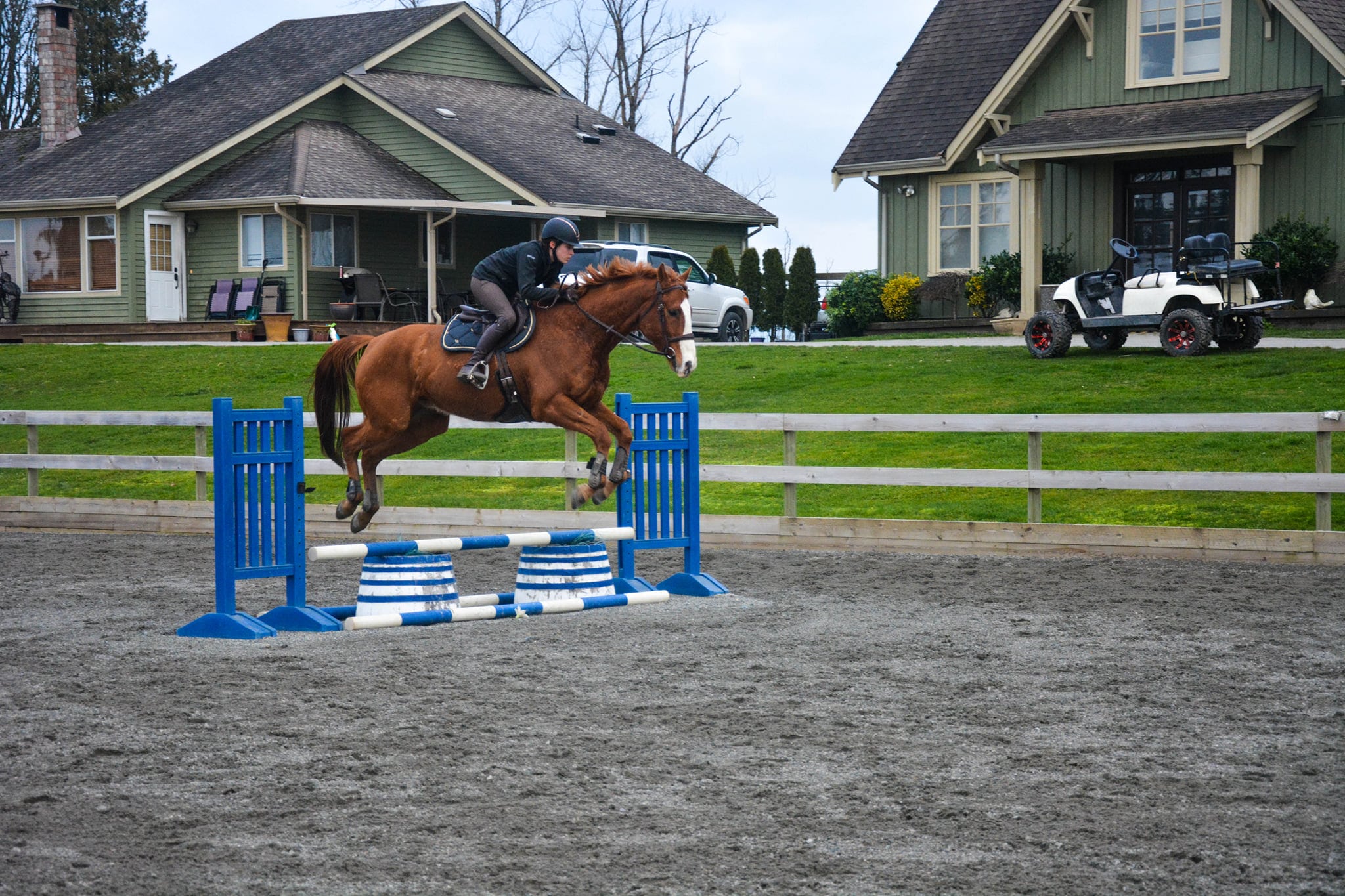 25 Tips to Take Your Show Jumping from Average to Awesome - Horse Rookie