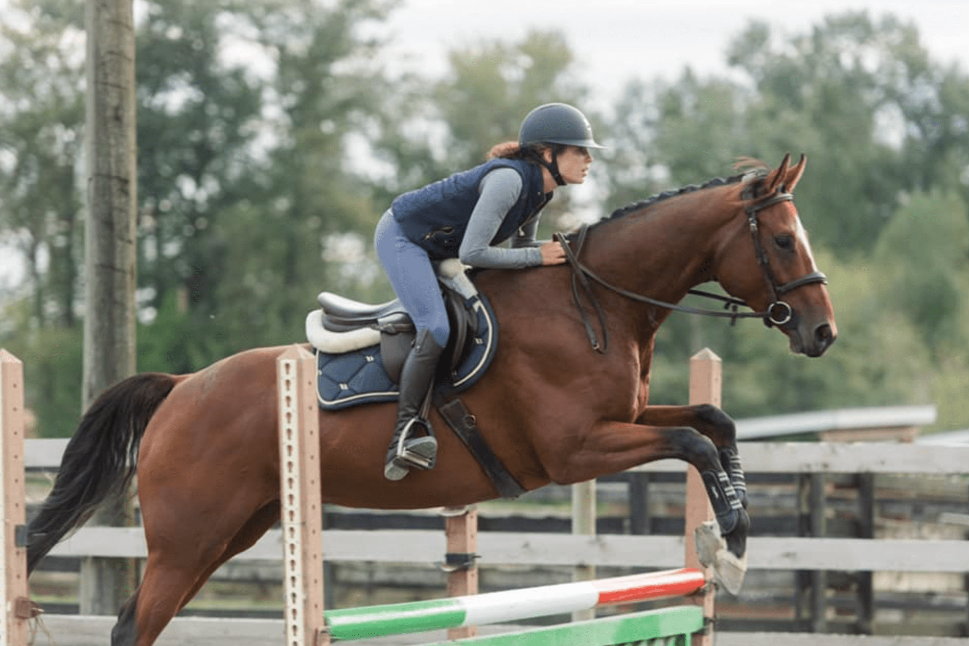 25 Tips to Take Your Show Jumping from Average to Awesome - Horse Rookie