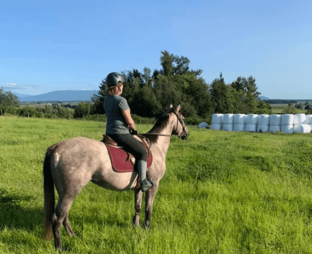 25 Tips to Take Your Show Jumping from Average to Awesome - Horse Rookie