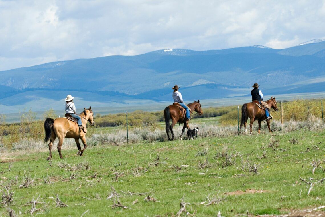 What is a horse rider called? (You might be surprised.) - Horse Rookie