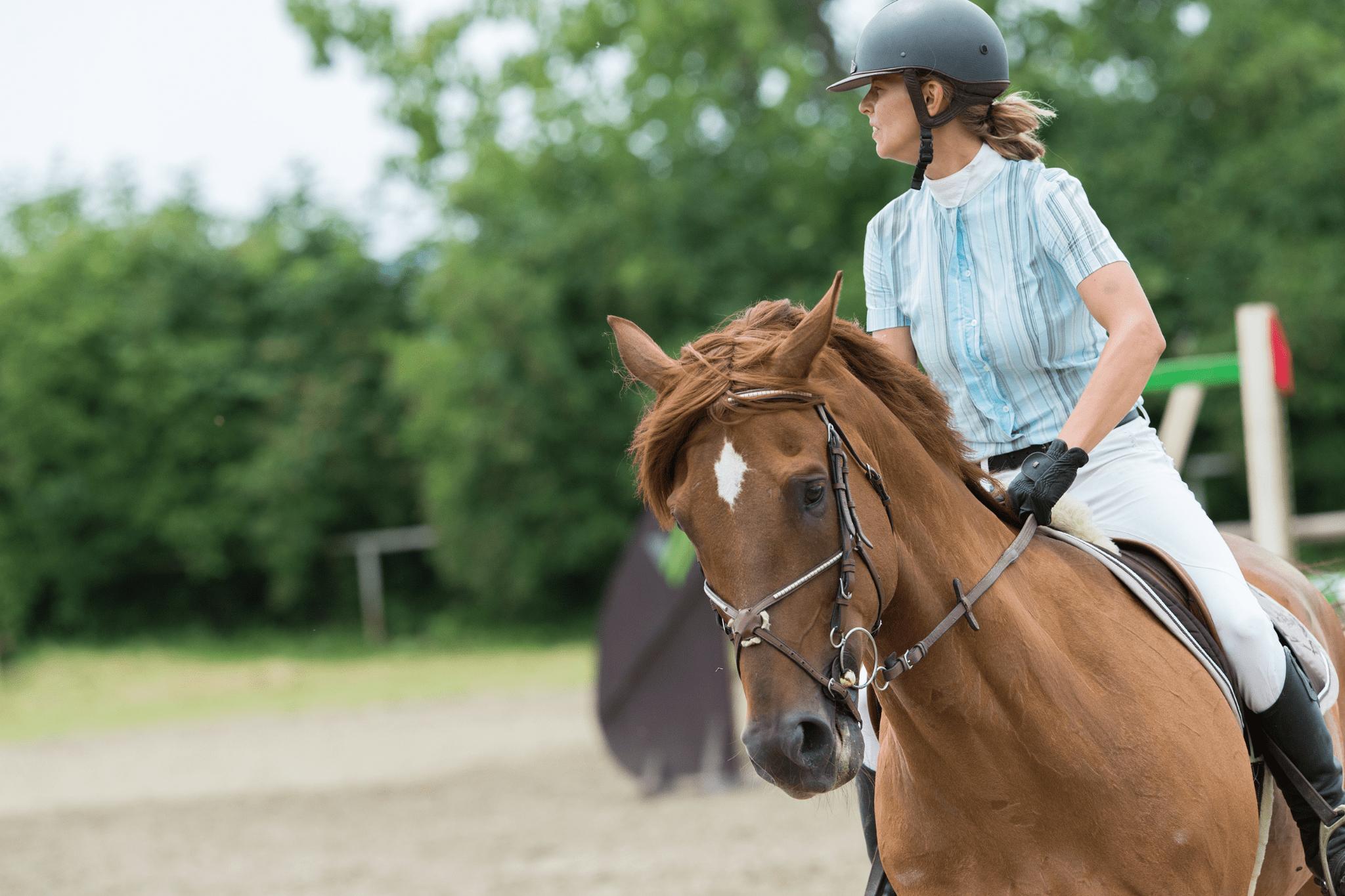 12 Best Horse Bits for Strong Scopey Jumpers - Horse Rookie