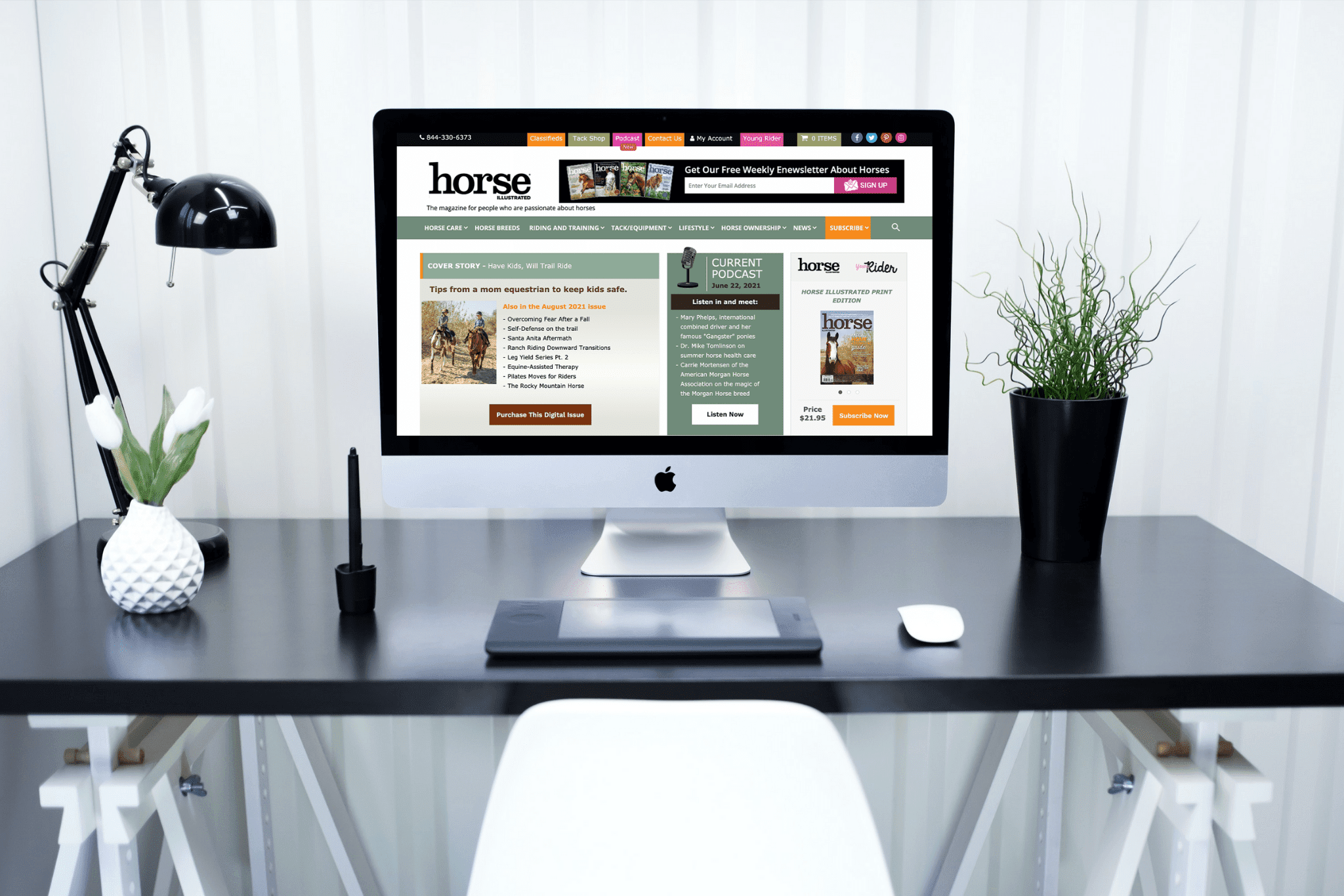 7 Best Websites for Learning All About Horses - Horse Rookie