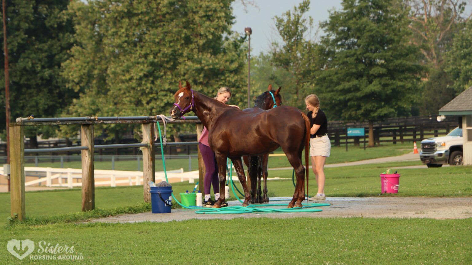 What is Pony Club, and why should you join? - Horse Rookie