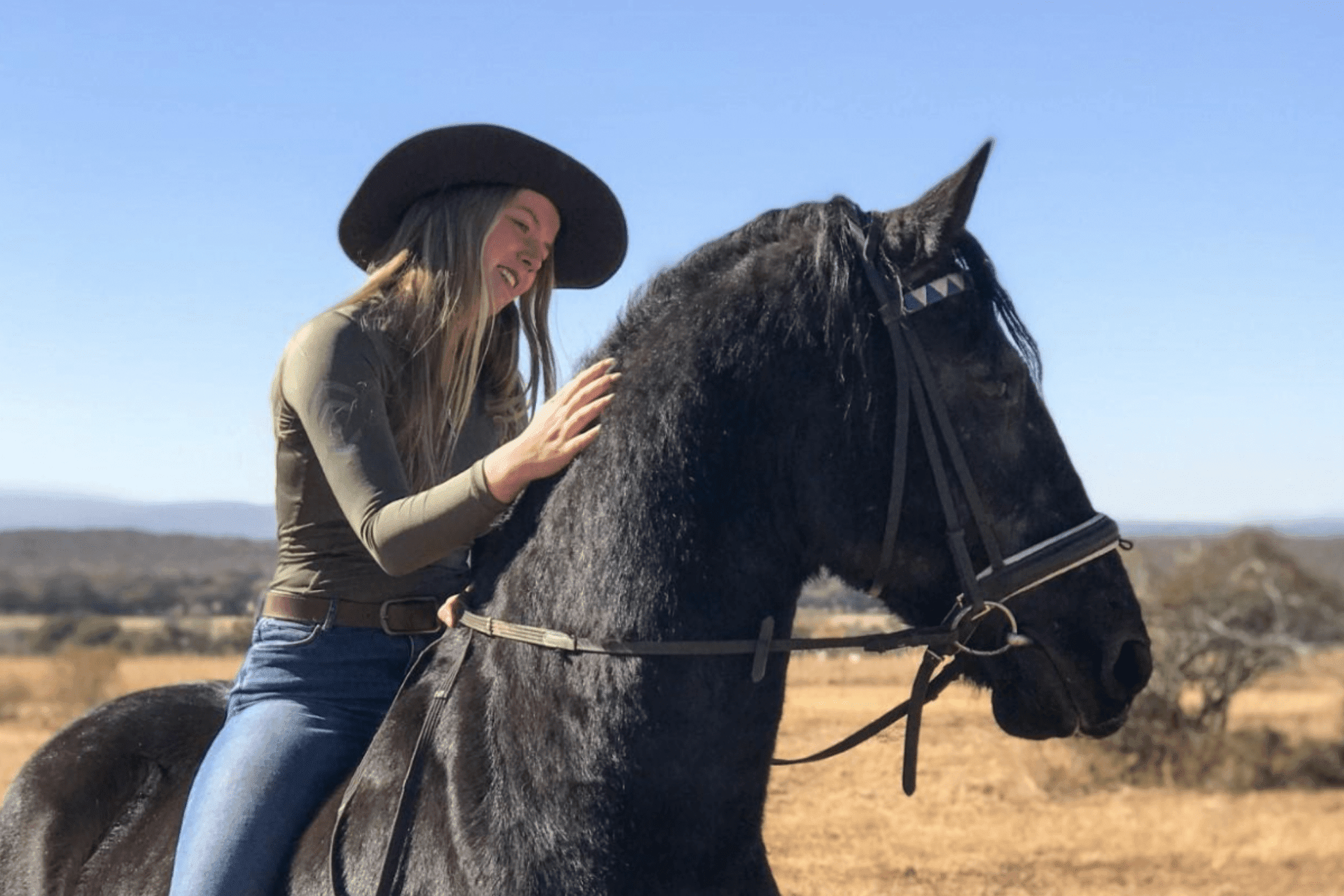 10 Best Horse Breeds for Trail Riding in Tranquility - Horse Rookie