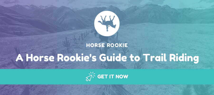 A Horse Rookie's Guide to Trail Riding - Horse Rookie