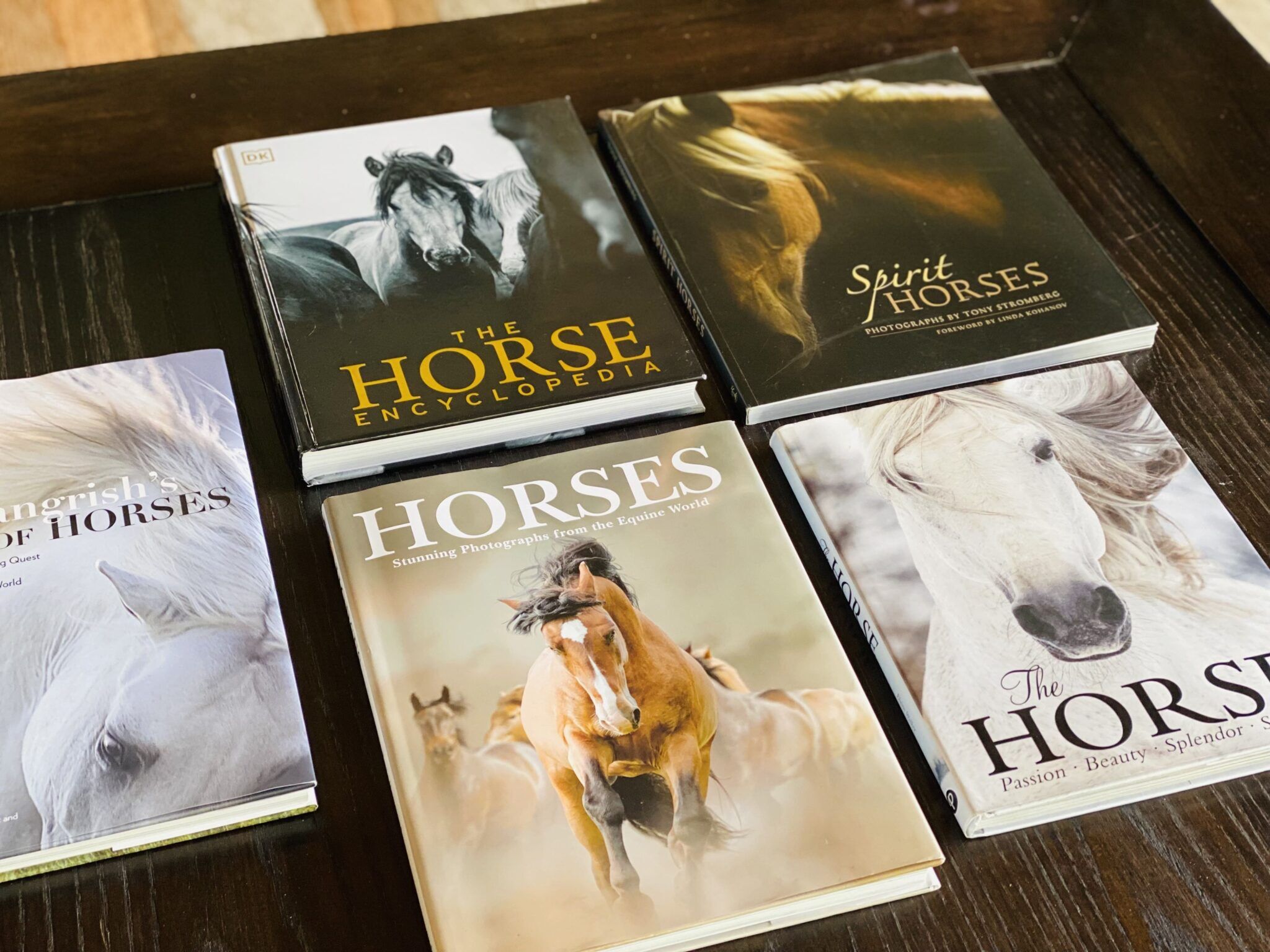 10 Best Horse Coffee Table Books (Equestrian Eye Candy!) - Horse Rookie
