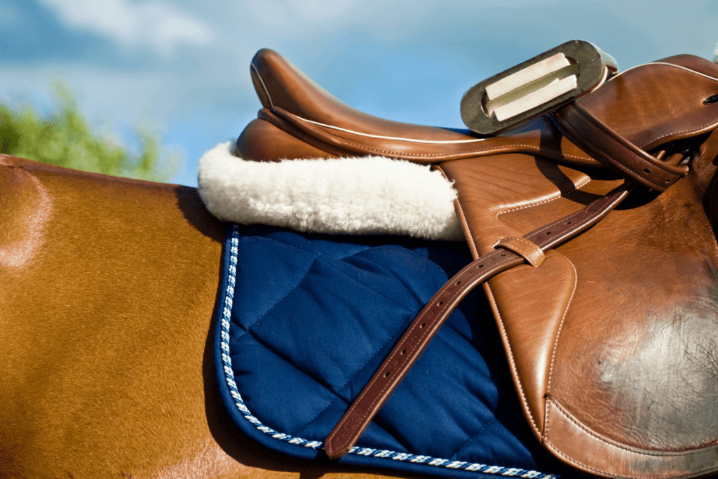 9 Best English Saddle Pads (Dressage, Jumping, All Purpose) - Horse Rookie