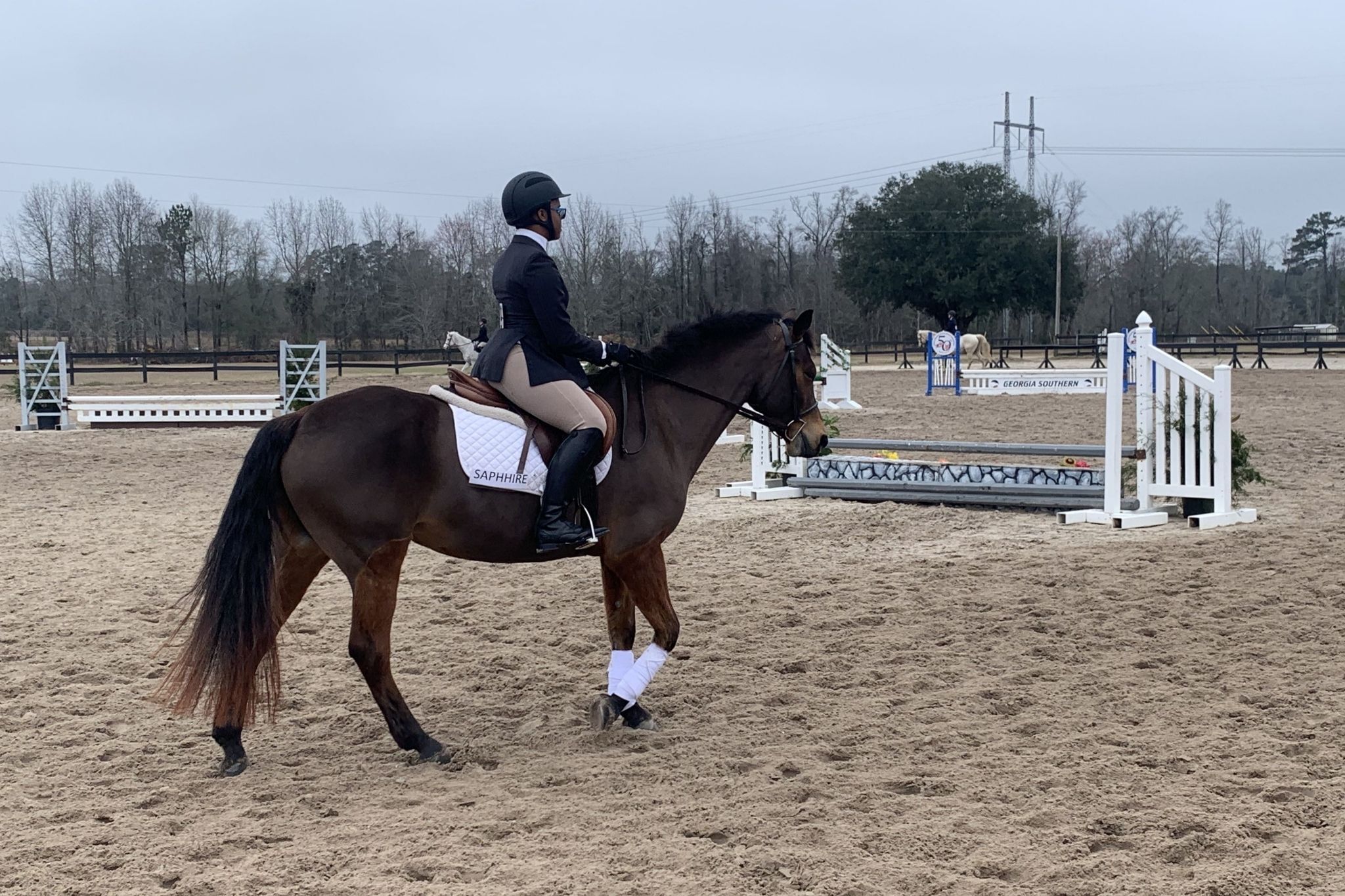 Horse Riding in High School and College (IEA, IHSA) - Horse Rookie