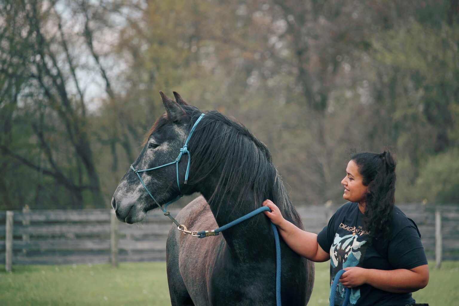 Horse Handling 101: A Helpful Beginner’s Guide - Horse Rookie