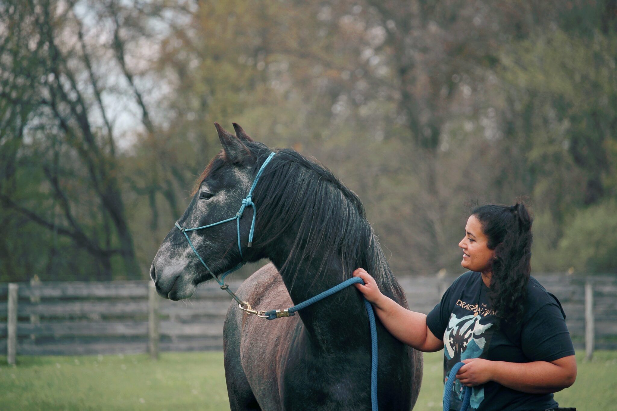 Horse Handling 101: A Helpful Beginner’s Guide - Horse Rookie