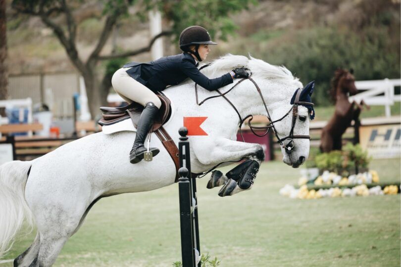 Jump Jargon: A Simple Guide to Horse Jumping Terms - Horse Rookie
