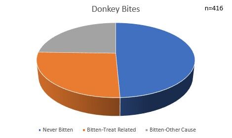 Do Donkeys Bite? (And How to Keep Your Fingers!) - Horse Rookie