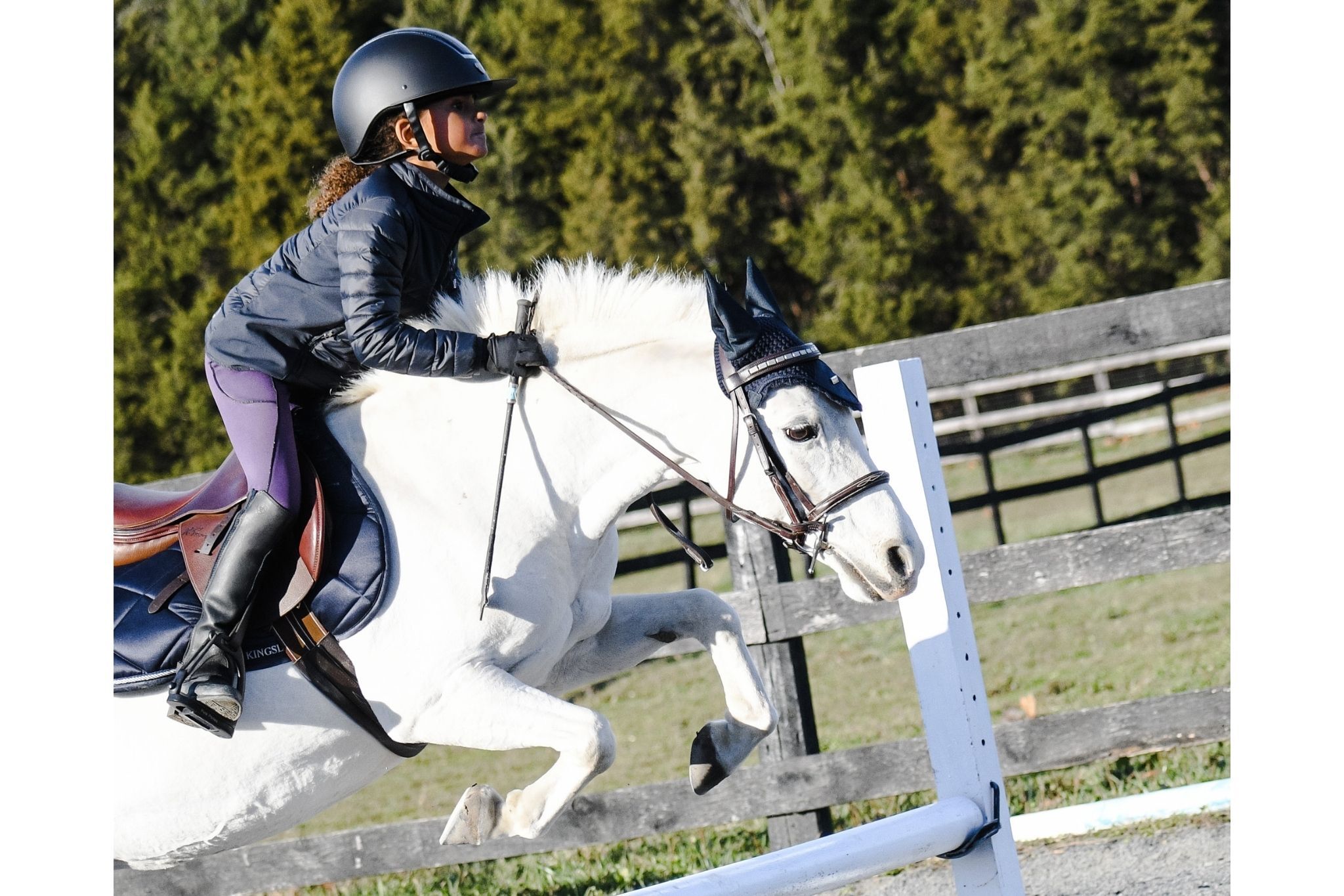 Jump Jargon: A Simple Guide to Horse Jumping Terms - Horse Rookie