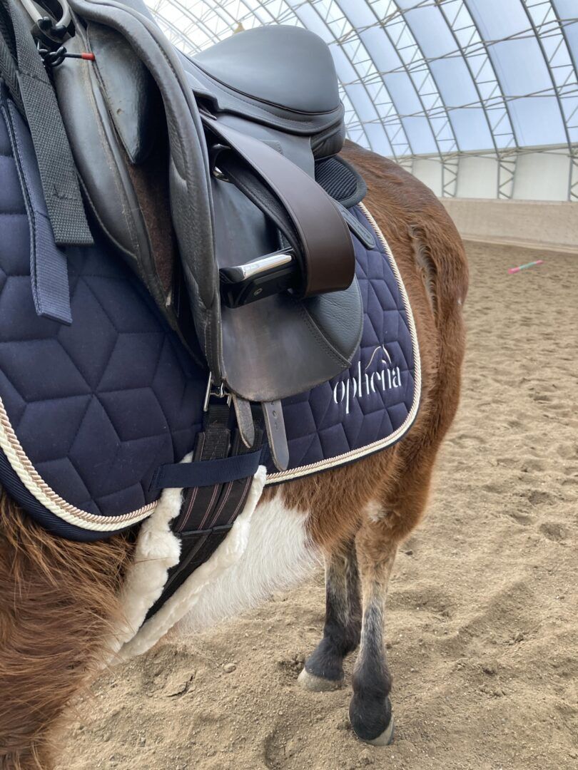 What's the Attraction: Ophena Magnetic Stirrups Review - Horse Rookie