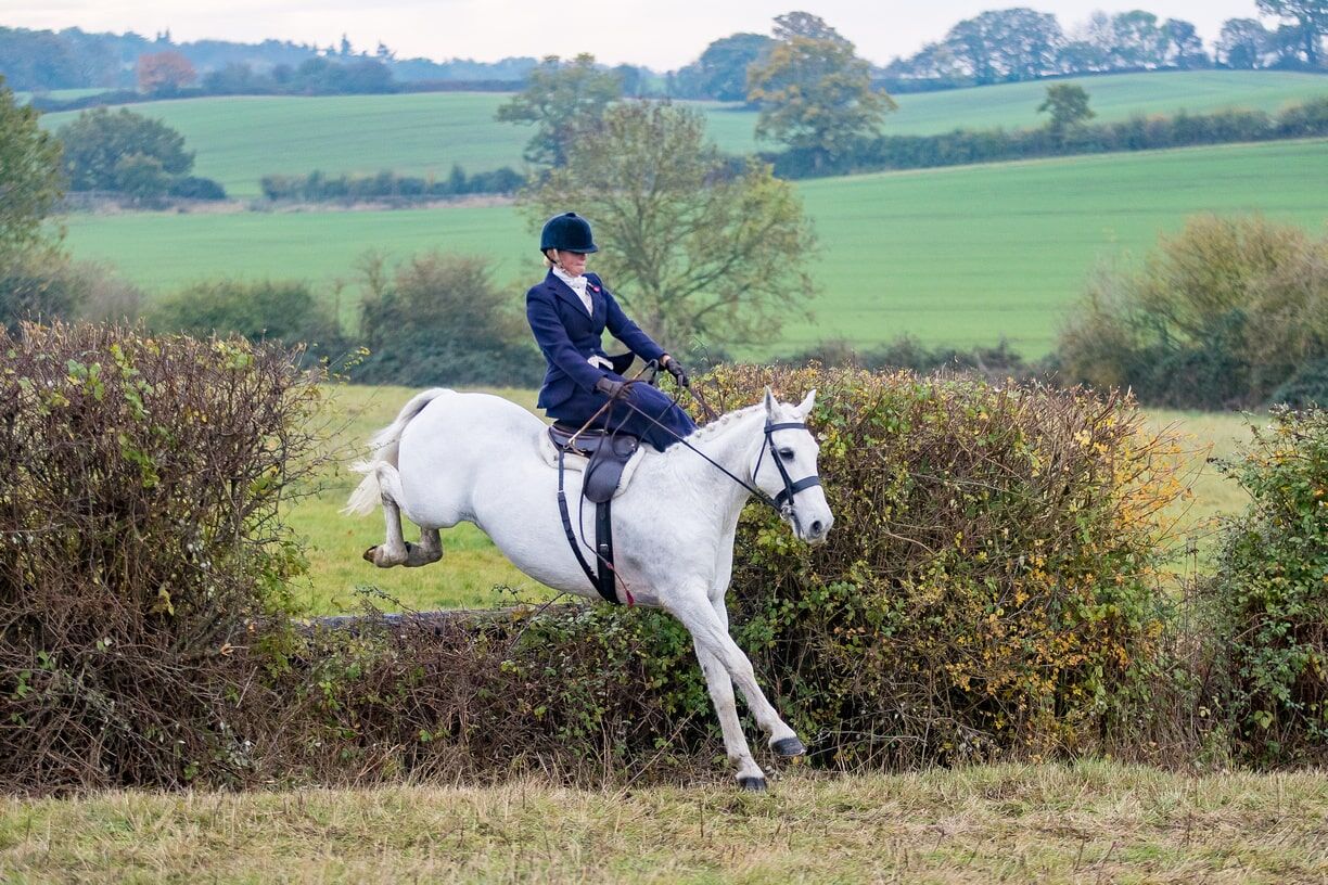 Interview: Riding Side Saddle with Katie Ockendon-Evans - Horse Rookie