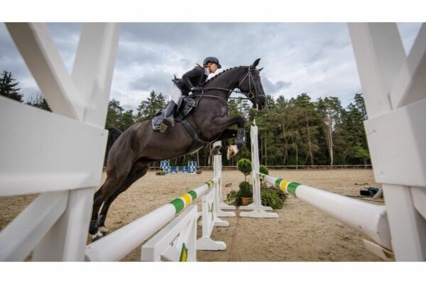 How to Set Up a Show Jump Course for Beginners - Horse Rookie