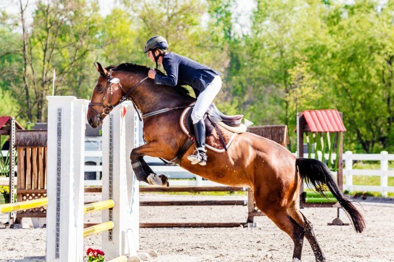 How to Set Up a Show Jump Course for Beginners - Horse Rookie