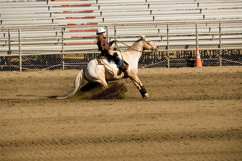 A Beginner's Guide to Reining (Tips, Maneuvers, etc.) - Horse Rookie